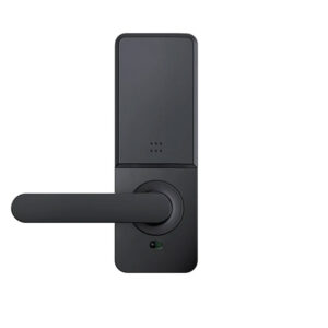 REGENT LUXE DIGITAL DOOR LOCK – LHL-P2-B – LIONHEAD LOCKS