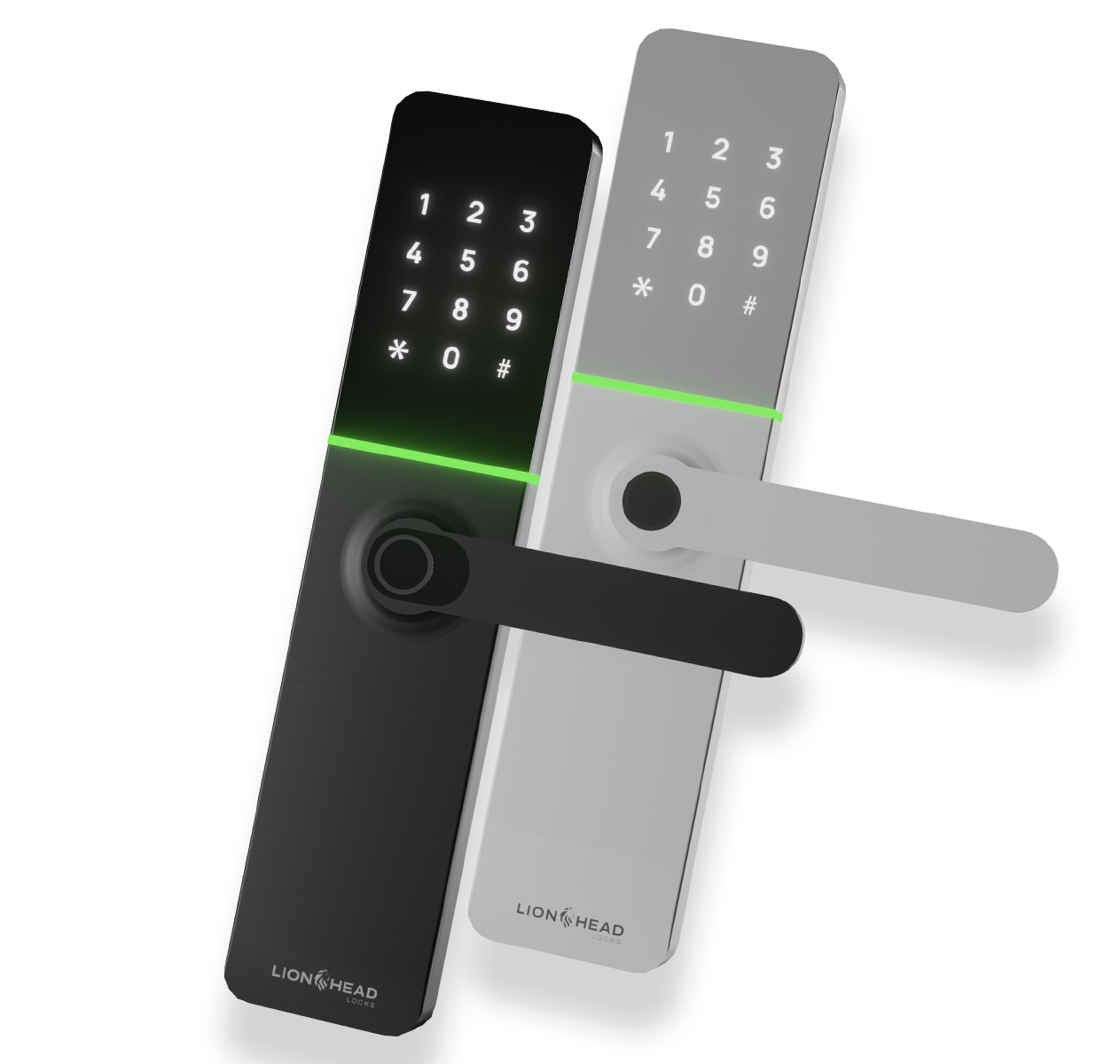 LIONHEAD LOCKS – Unlock Tomorrow, Secure Today