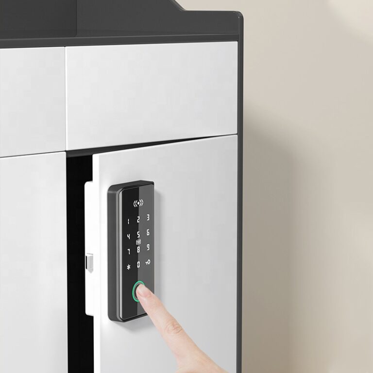 LION HEAD LOCK SMART CABINET TTLOCK BLUTOOTH PIN FINGER CARD – LHL ...