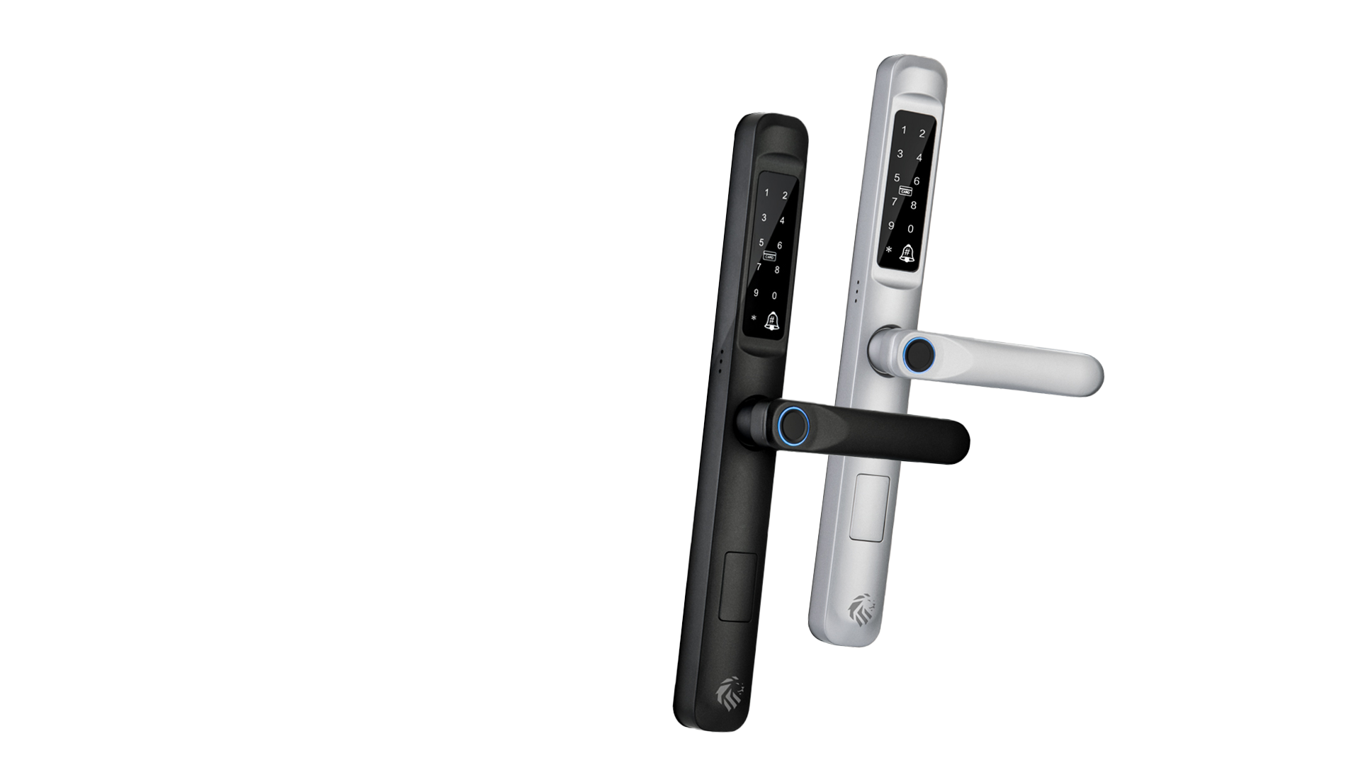 LIONHEAD LOCKS – Unlock Tomorrow, Secure Today